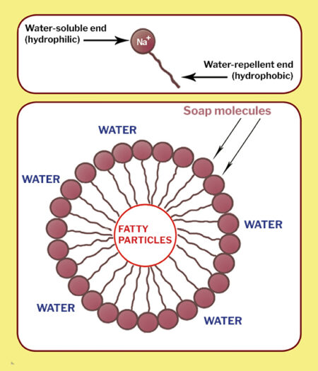How to make soap | Science Teaching