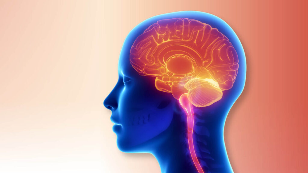 Why Size Matters | Science Teaching