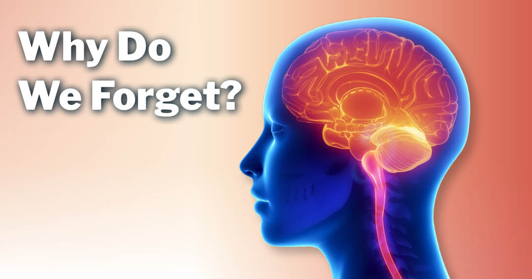 Why Do We Forget? | Science Teaching